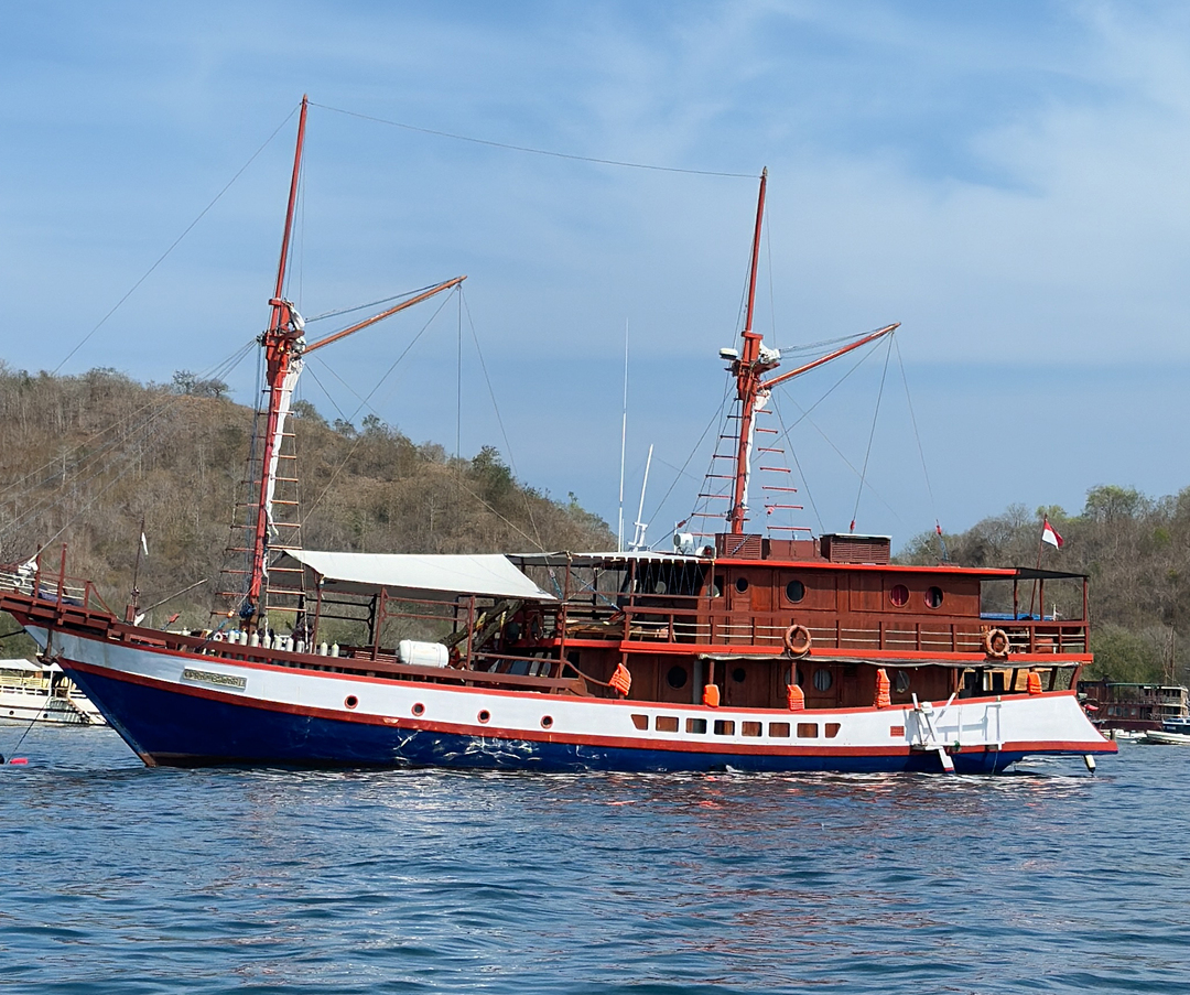 Private trip by Radea 2 Luxury Phinisi - Komodotrips.com