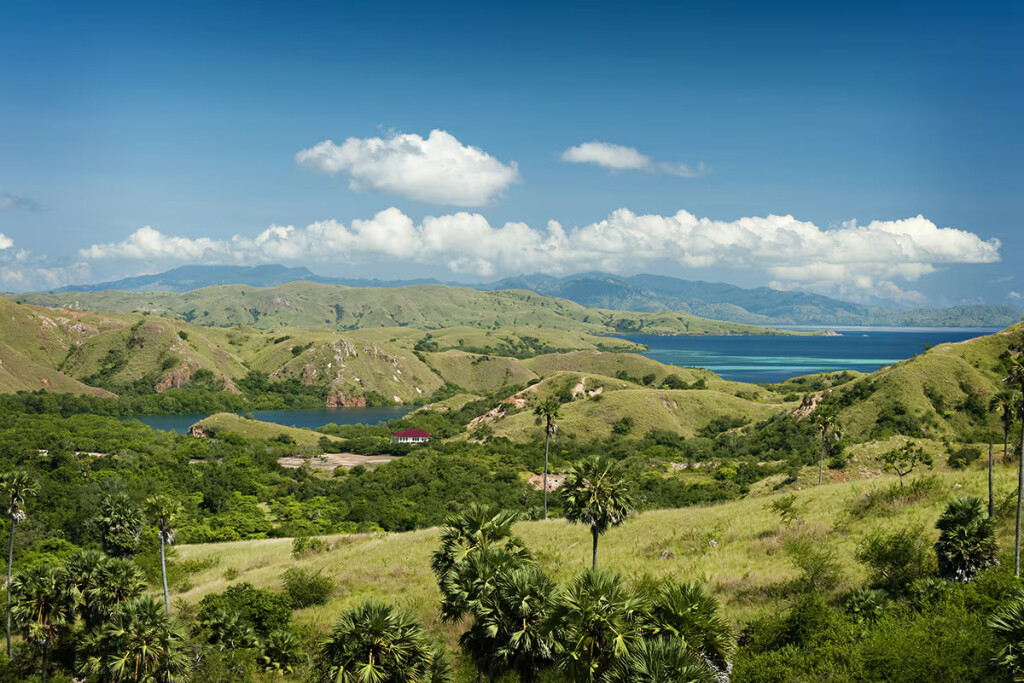 Rinca Island - Komodotrips.com