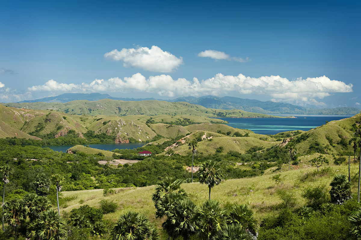 Rinca Island - Komodotrips.com